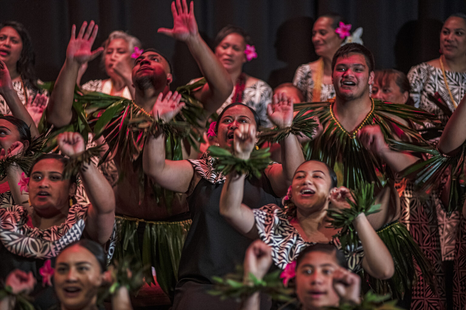 Pacific Dance New Zealand